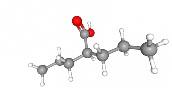 Valproate - SensUs Wiki