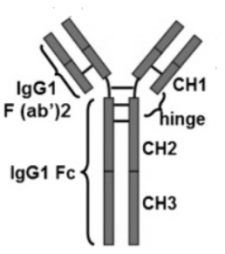 Adalimumab - SensUs Wiki
